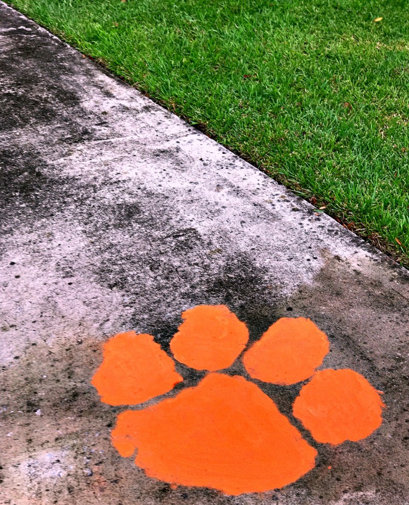 Paw Painting : A Tiger Tradition