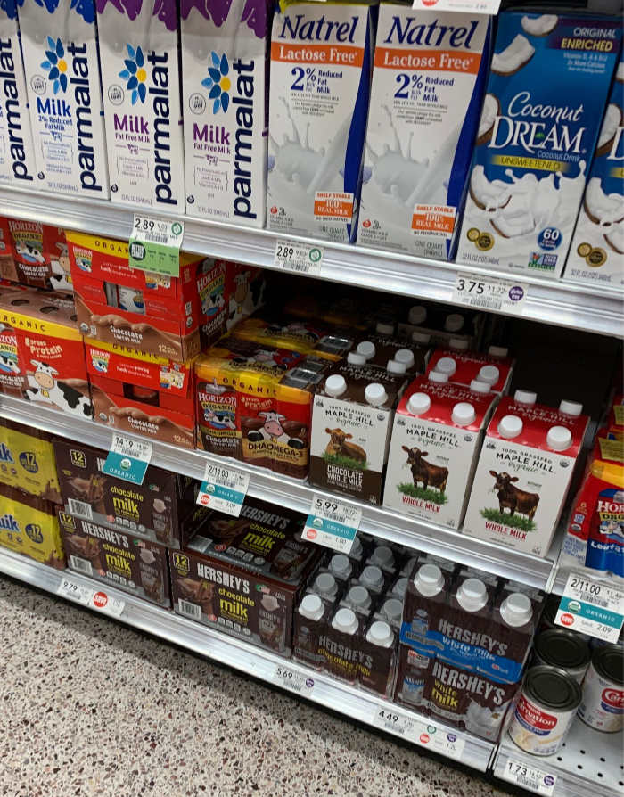 How to pack the perfect school lunch!